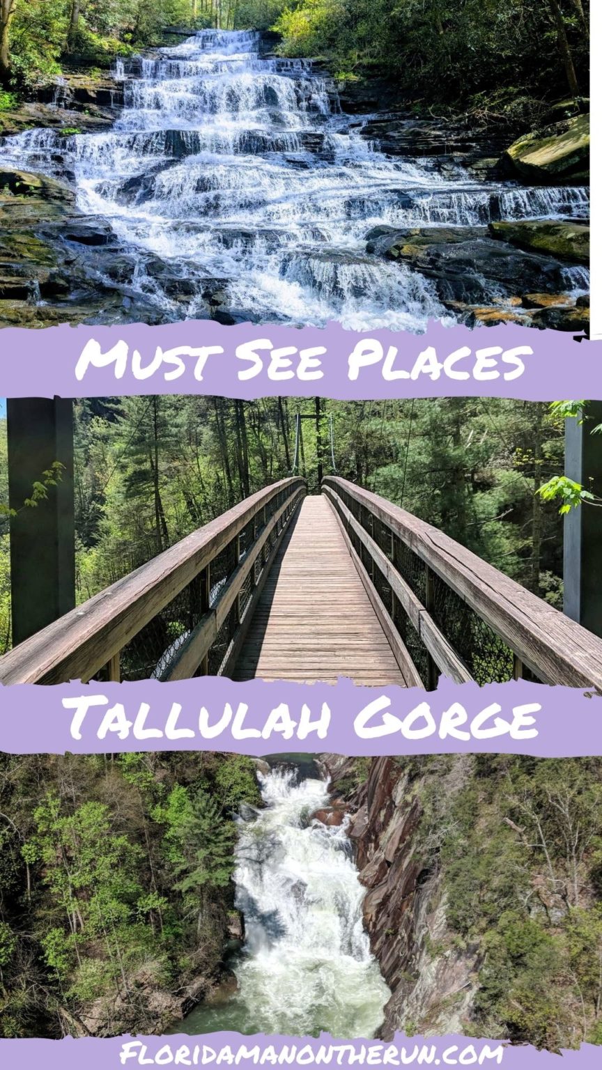 Adventures in Camping at Tallulah Gorge - Florida Man on the Run
