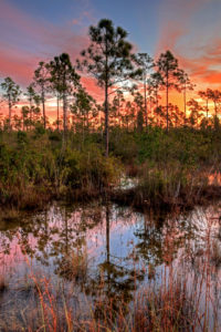 9 Unforgettable Sunrises in Florida You Have to See - Florida Man on ...