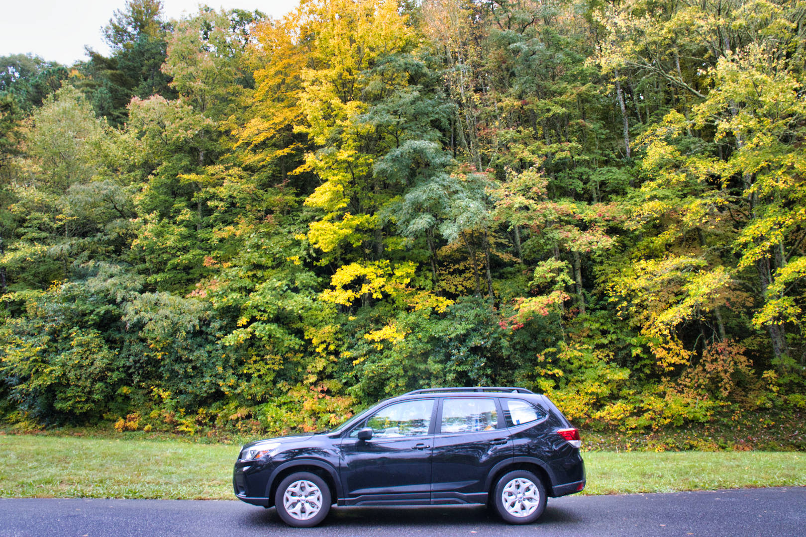 Your Comprehensive Guide to Camping in a Subaru Forester Affordably ...