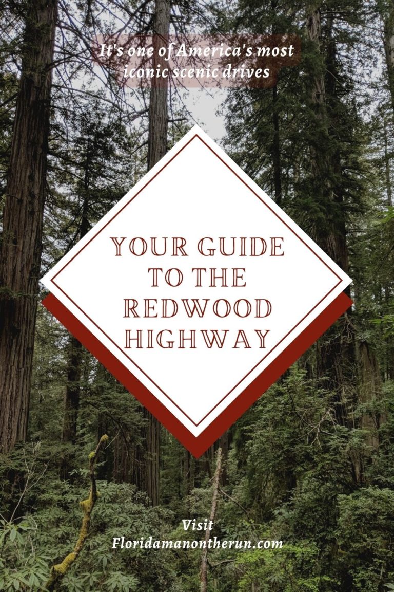 The Redwood Highway in California: An Iconic American Road Trip ...
