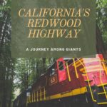 The Redwood Highway in California: An Iconic American Road Trip ...