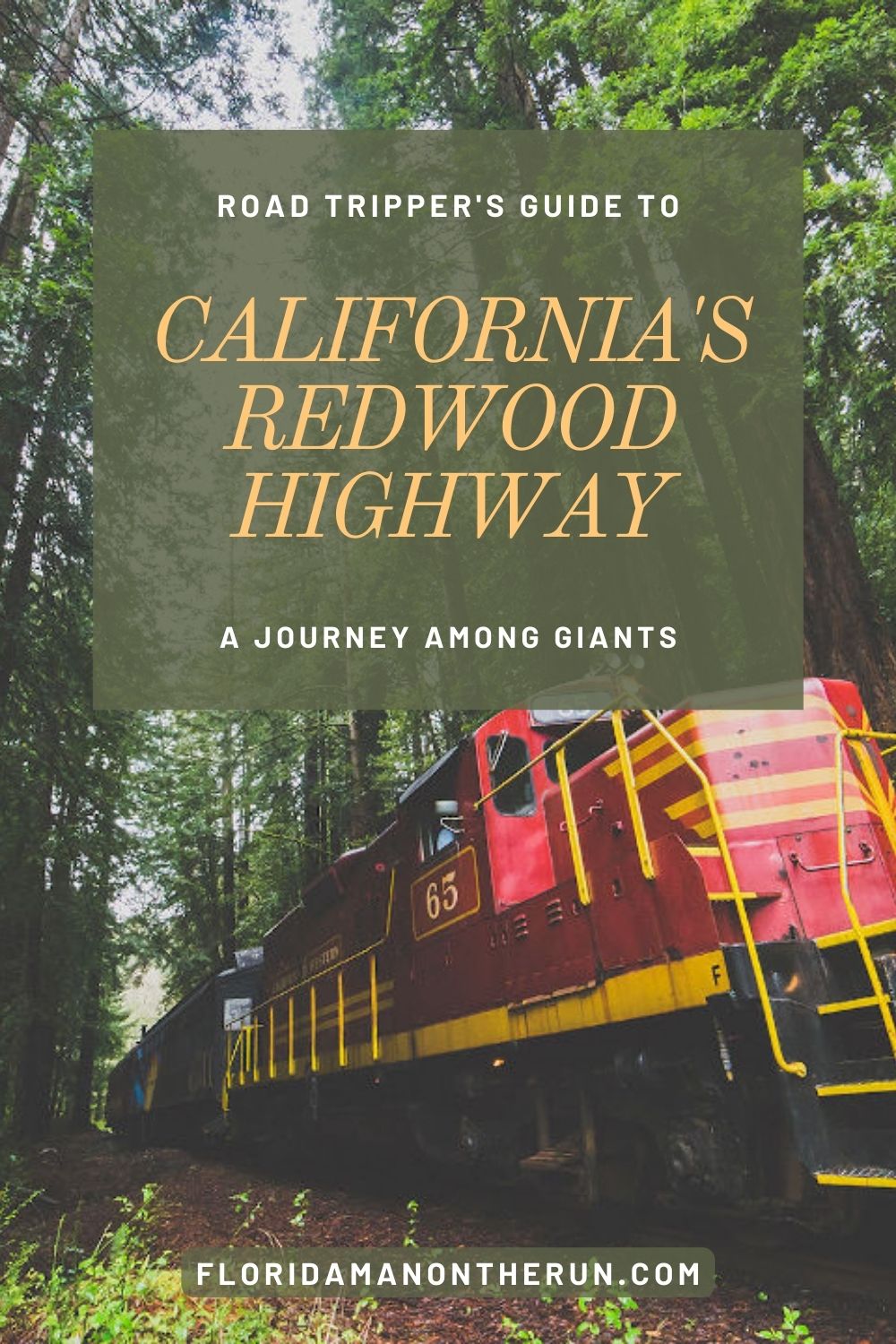 The Redwood Highway in California: An Iconic American Road Trip ...