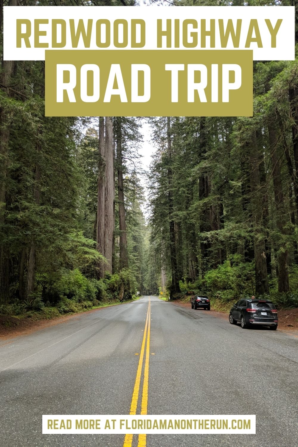 The Redwood Highway in California: An Iconic American Road Trip ...