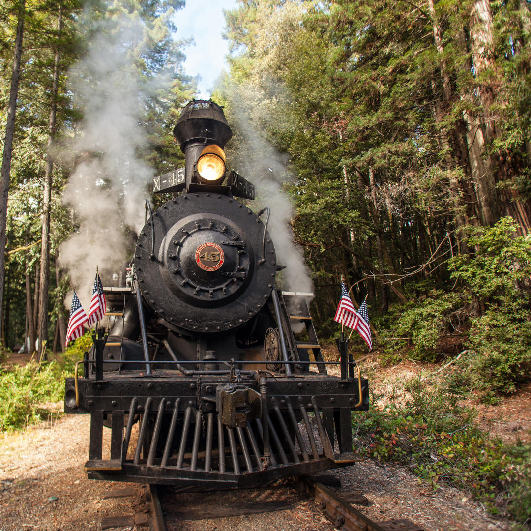 The Redwood Highway in California: An Iconic American Road Trip ...