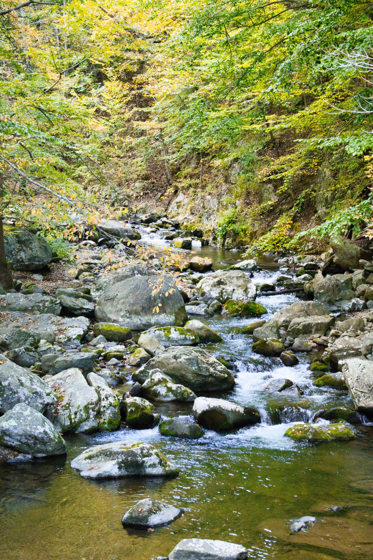 Blue Ridge Parkway: A Visual Journey - Florida Man on the Run