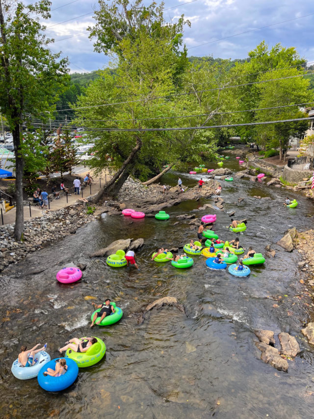 My Honest Review of Helen Georgia - Florida Man on the Run