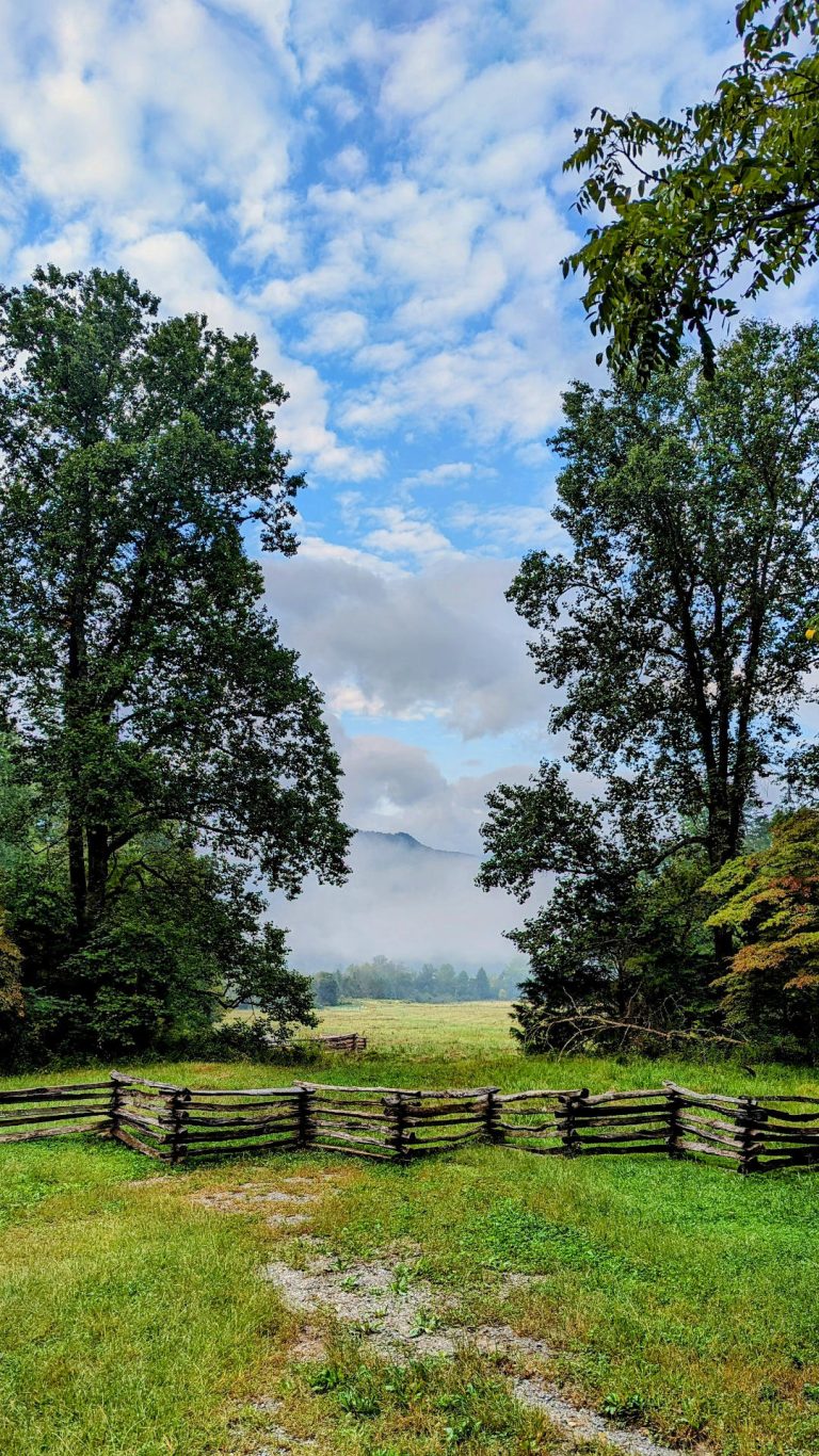The 4 Reasons Why I Love Townsend, Tennessee - Florida Man on the Run