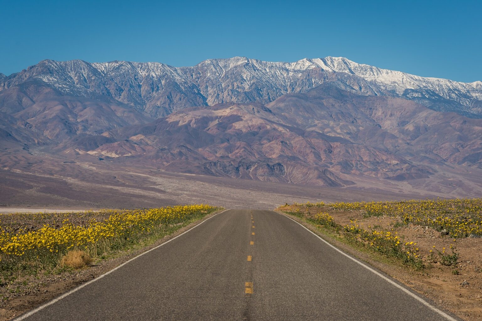 The 10 Best National Parks to Visit in Spring 2026 - Florida Man on the Run