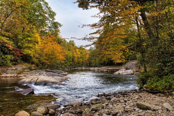 8 Excellent Blue Ridge Parkway Campgrounds for Your Road Trip - Florida ...