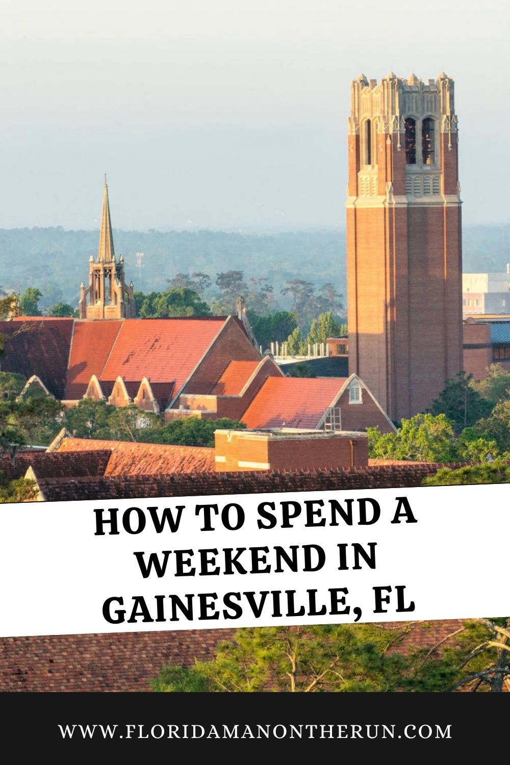 How to Spend An Awesome Weekend in Gainesville, Florida - Florida Man ...