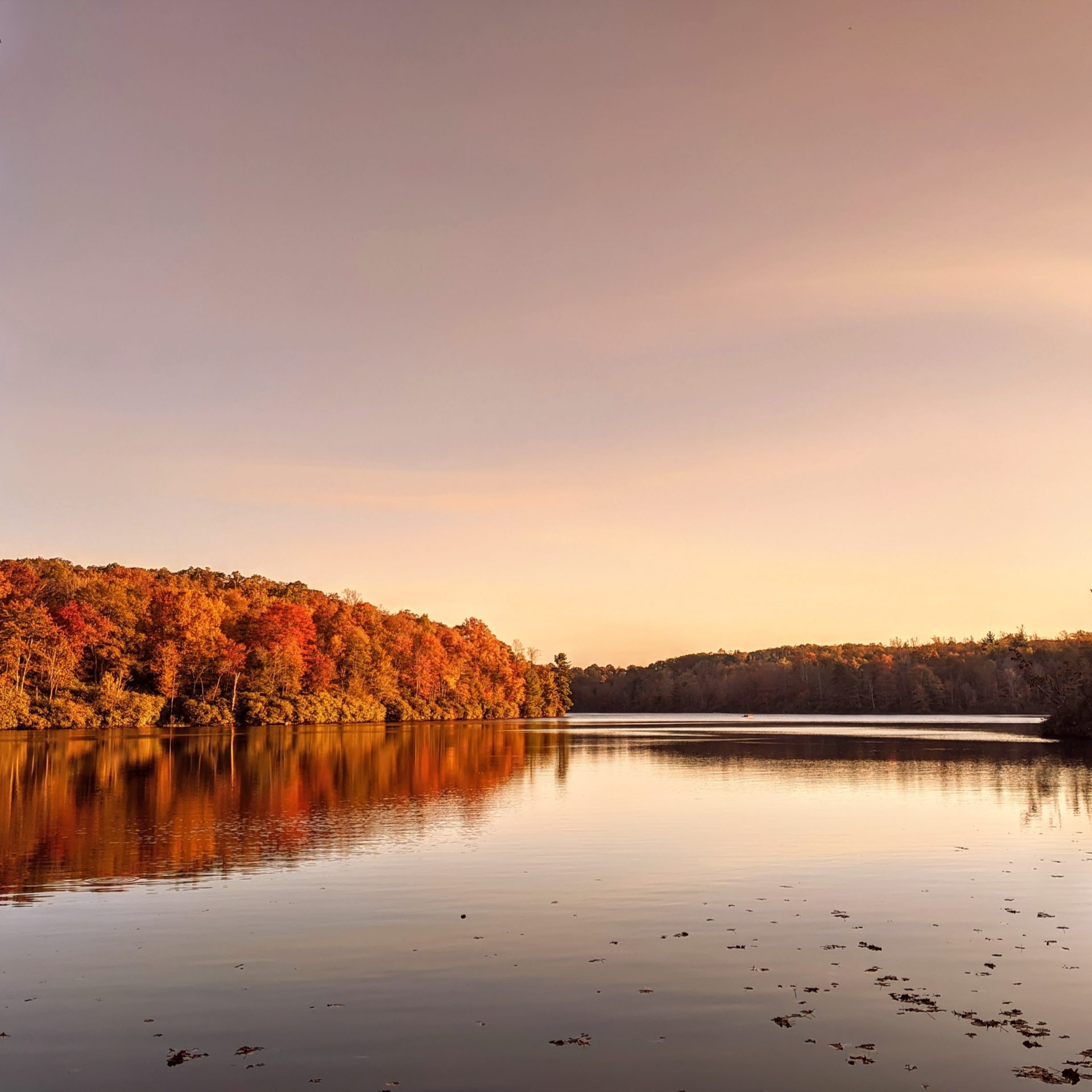 8 Excellent Blue Ridge Parkway Campgrounds for Your Road Trip - Florida ...