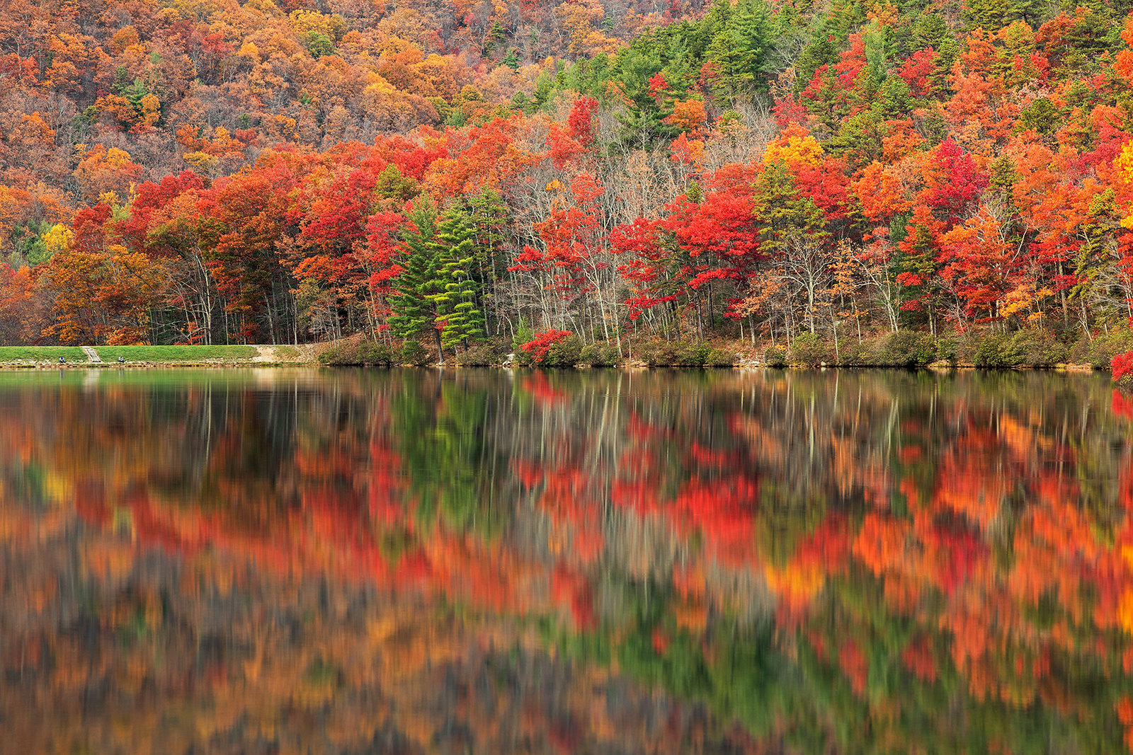 8 Excellent Blue Ridge Parkway Campgrounds for Your Road Trip - Florida ...