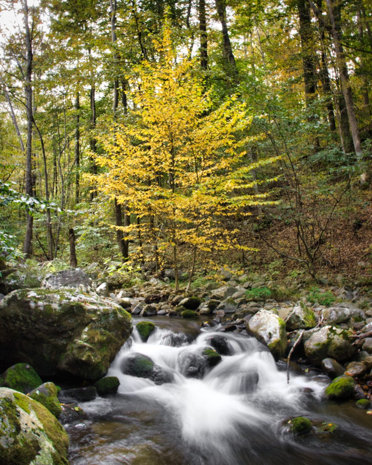 A Helpful State-by-State Guide to The 25 Best Places to Road Trip in ...