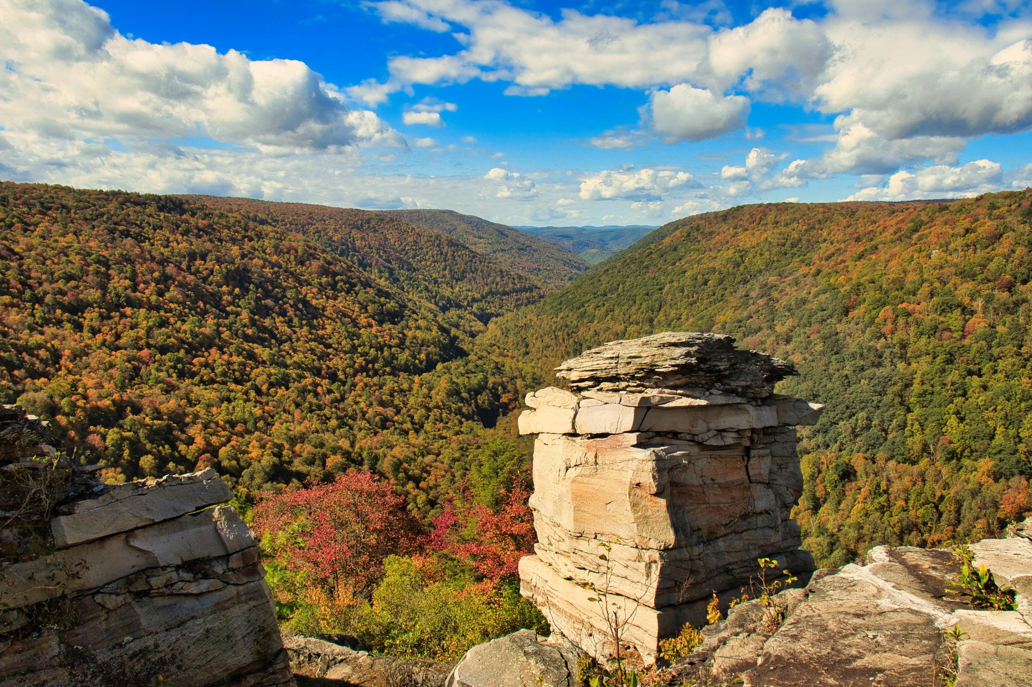 Why My West Virginia Road Trip is an All-Time Classic - Florida Man on ...